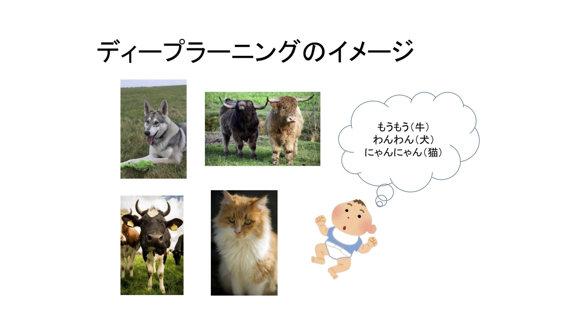 17 | AI専門ニュースメディア AINOW